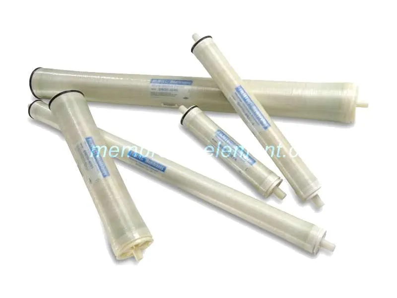 Mastering Reverse Osmosis Maintenance: In-Depth Guide for Membrane Element Cleaning